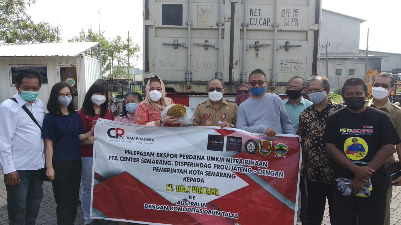 Semarang Budidayakan Daun Lompong, Untuk Ekspor ke Australia - UpRadio